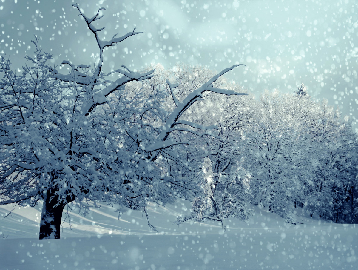 Town Hall Closing @ 3:00pm today (3/24/25) due to weather conditions ...